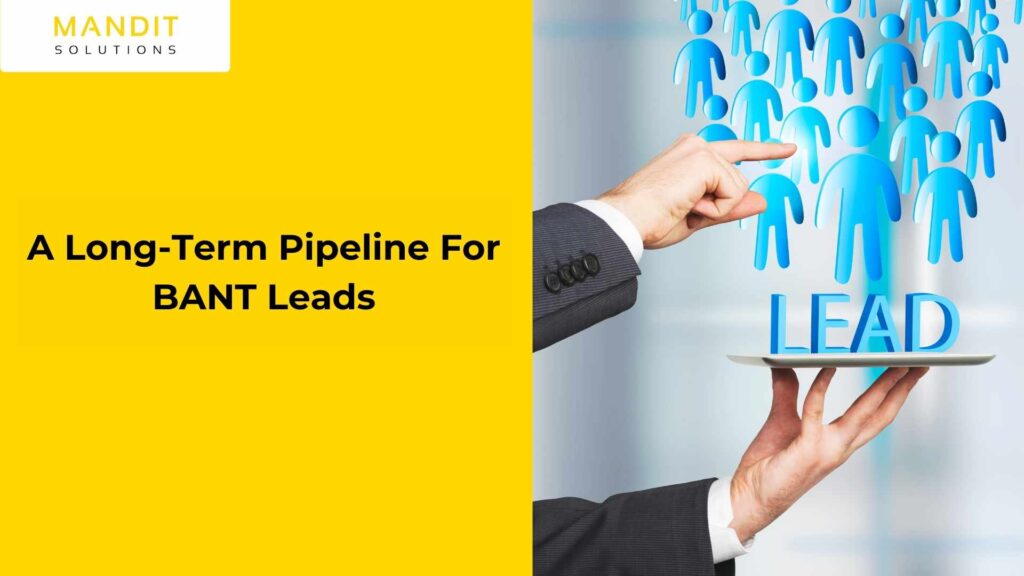 A Long-Term Pipeline For BANT Leads in 2022